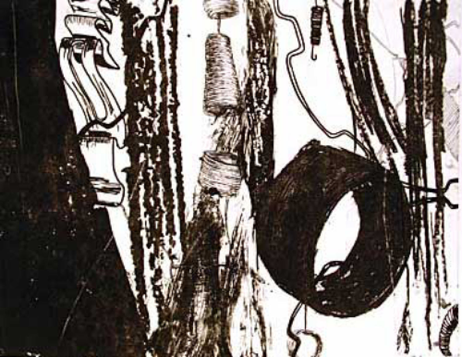 Polyester Plate Lithography