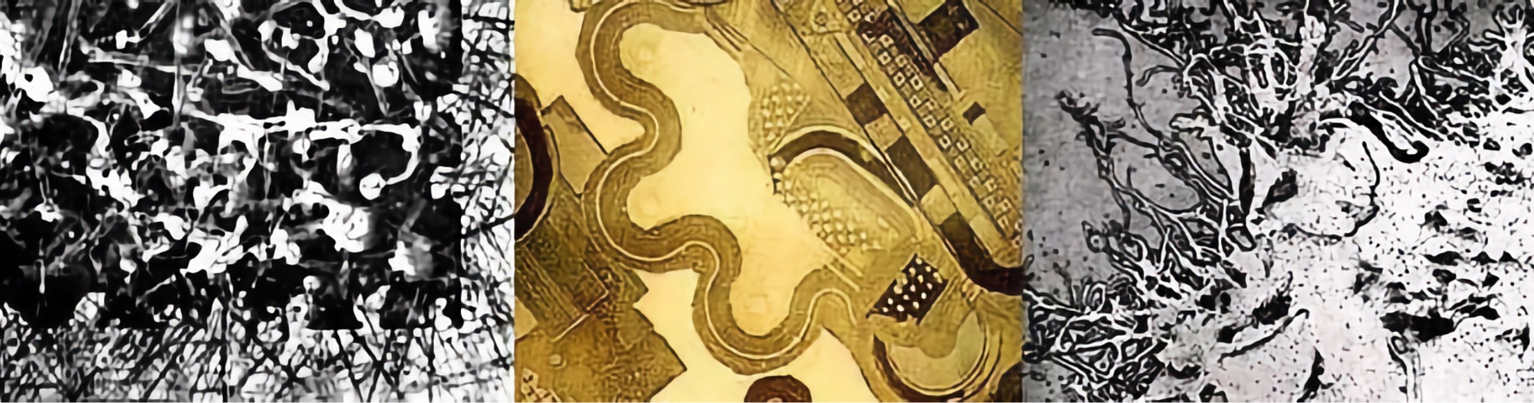 Art and Collagraph